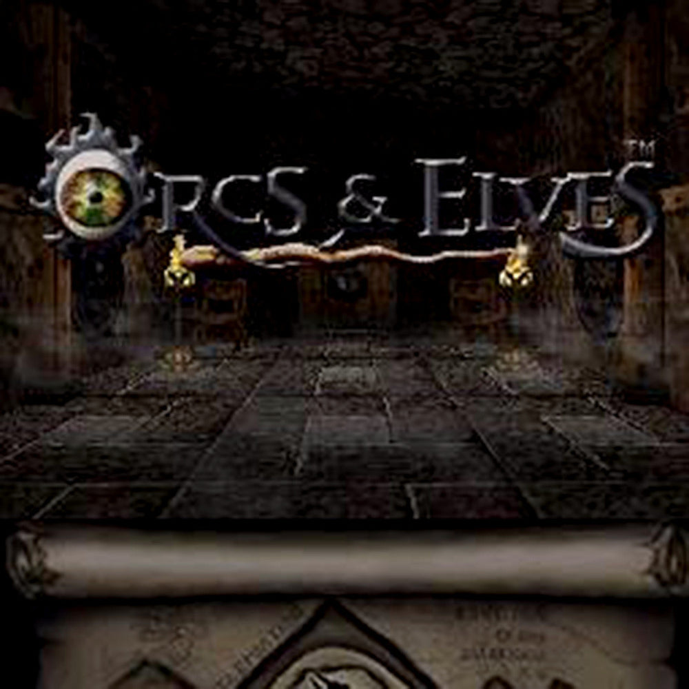 Orcs & Elves Nintendo DS Game