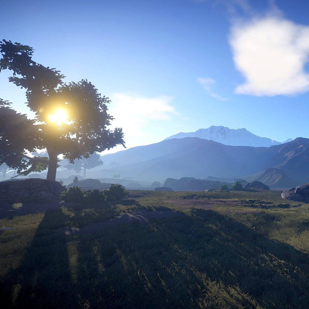 Rust PC Game Steam Digital Download