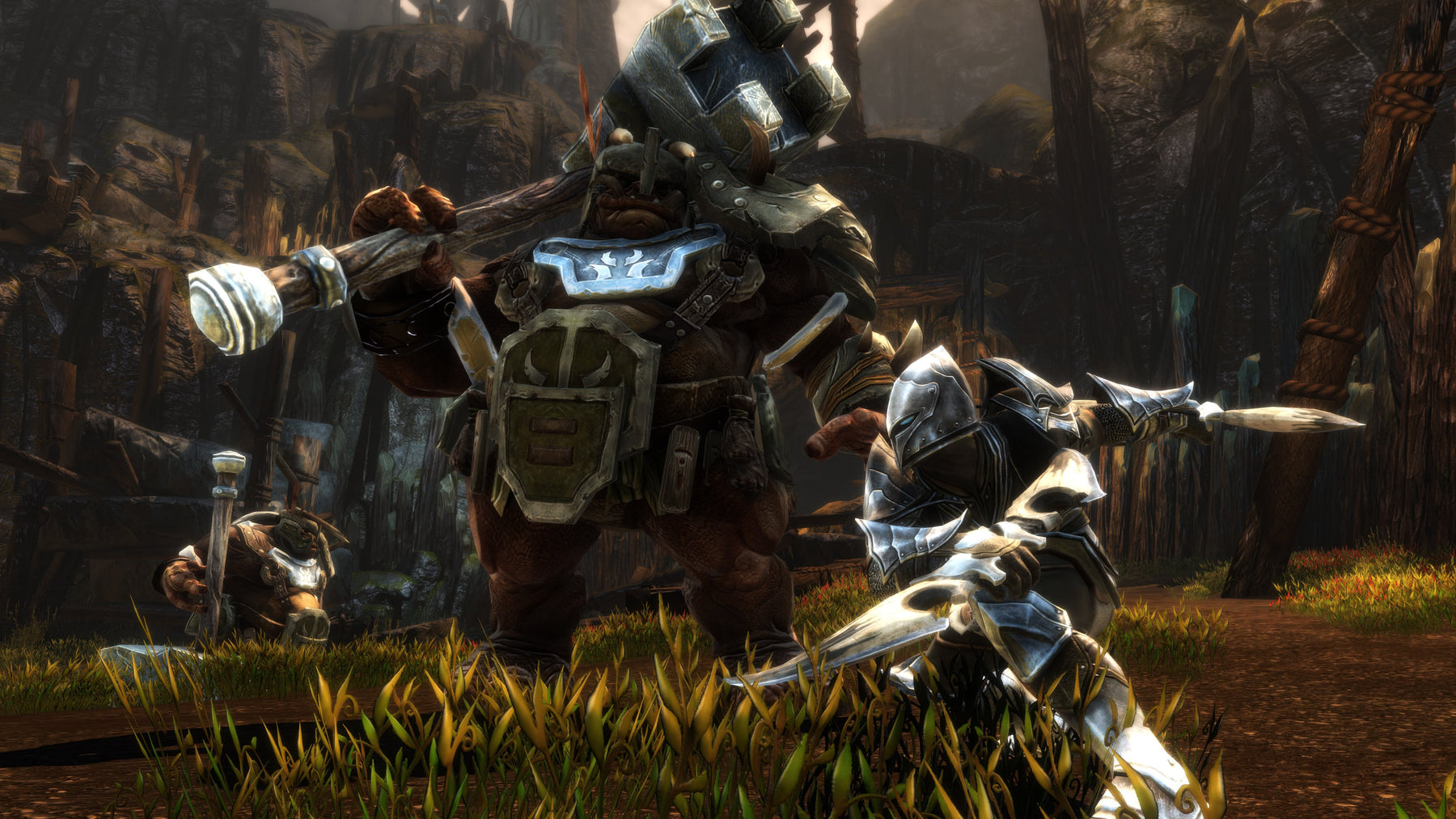 Kingdoms of Amalur: Re-Reckoning | PC | Steam Digital Download